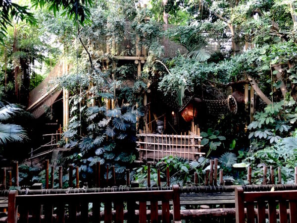 ONTDEK DE JUNGLE CABANA IN PARK HET HEIJDERBOS VAN CENTER PARCS