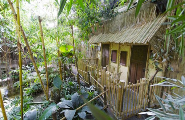 ONTDEK DE JUNGLE CABANA IN PARK HET HEIJDERBOS VAN CENTER PARCS