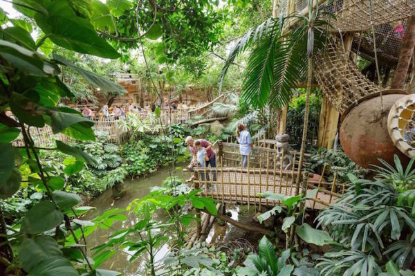 ONTDEK DE JUNGLE CABANA IN PARK HET HEIJDERBOS VAN CENTER PARCS